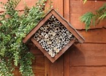 How to build your own bug box | Garden Center Guide