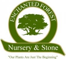 Enchanted Forest Nursery | Garden Center Guide